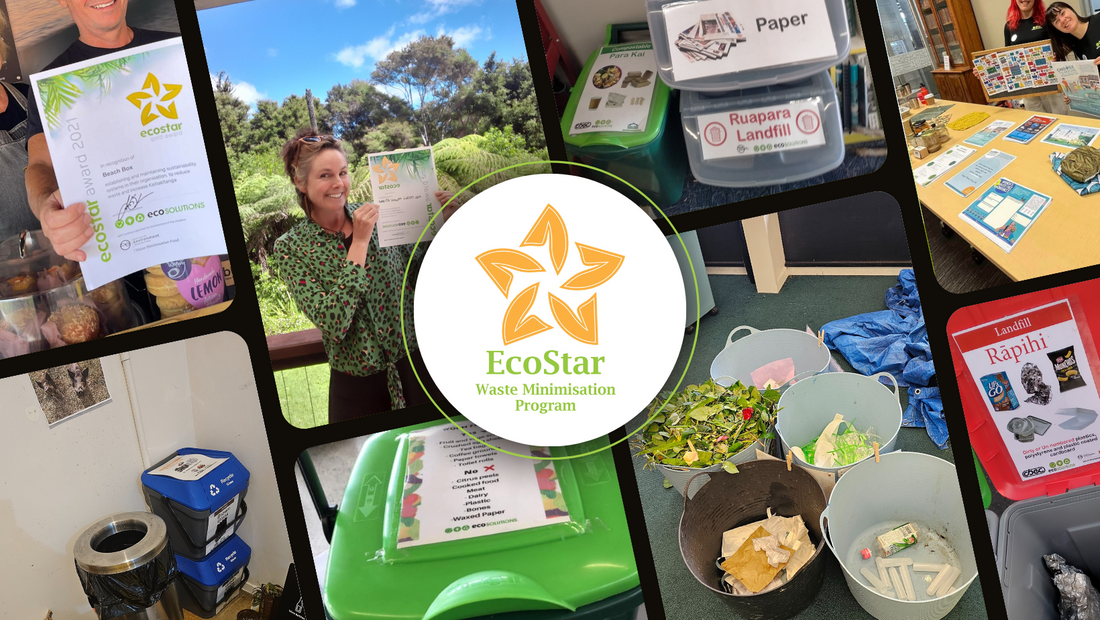 EcoStar Evaluation – EcoSolutions
