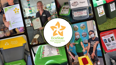 About The EcoStar Programme – EcoSolutions